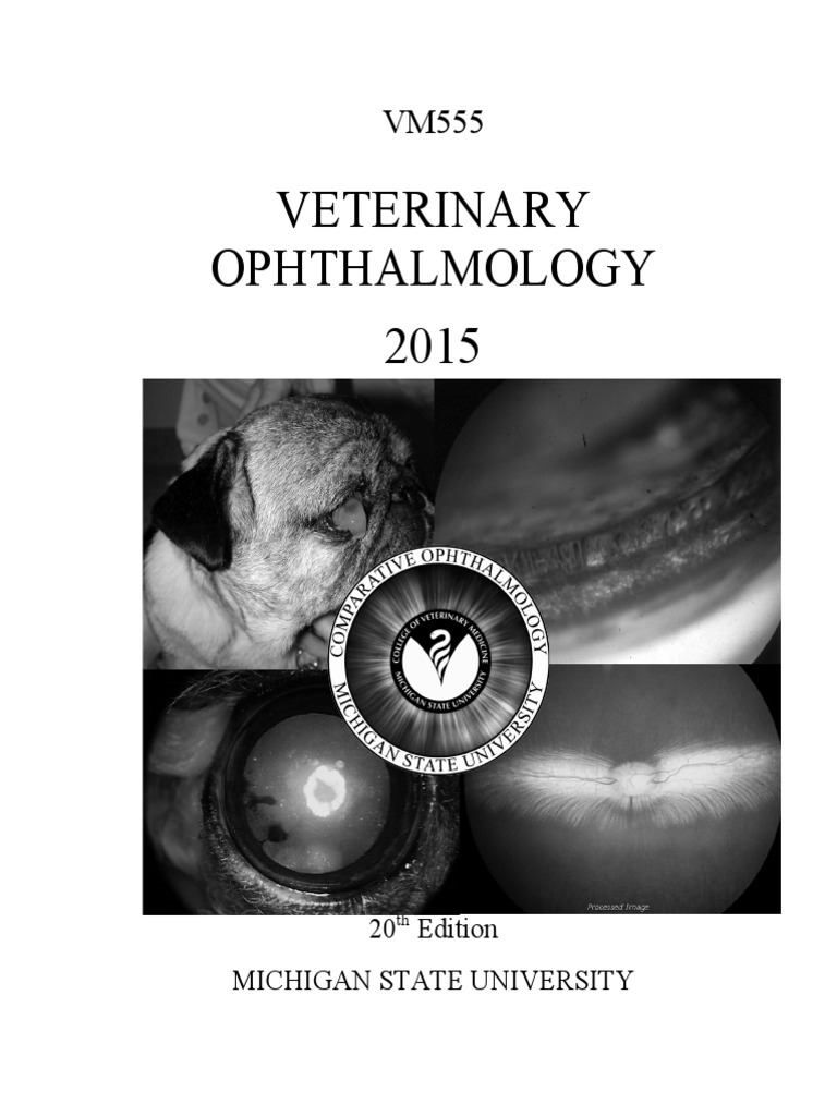 Complete Ophtho VM555 Coursepack | PDF | Cornea | Retina
