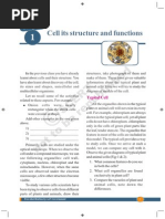 Ap Biology Review One Pagers | PDF