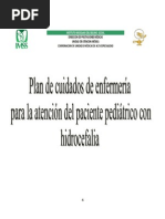 Nanda Nic Noc | PDF | Dolor | Cerebro