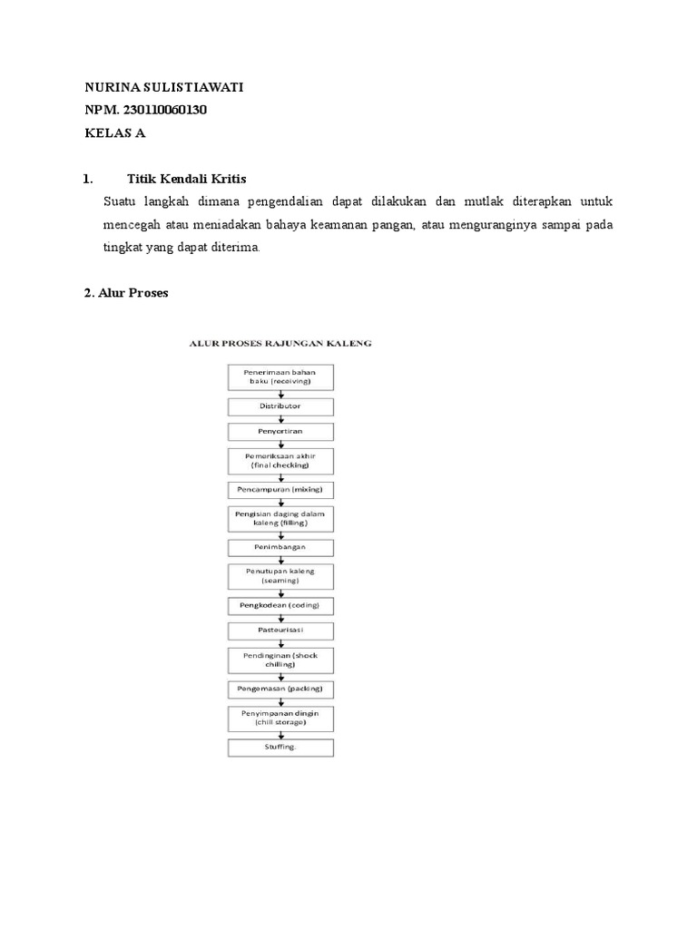 Nurina Sulistiawati NPM. 230110060130 Kelas A | PDF