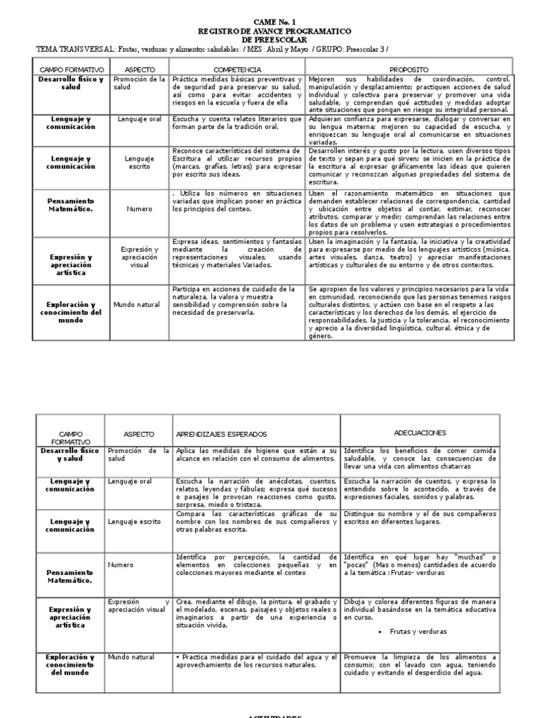 Planificacion MaYO . | PDF | Jardín de infancia | Comunicación