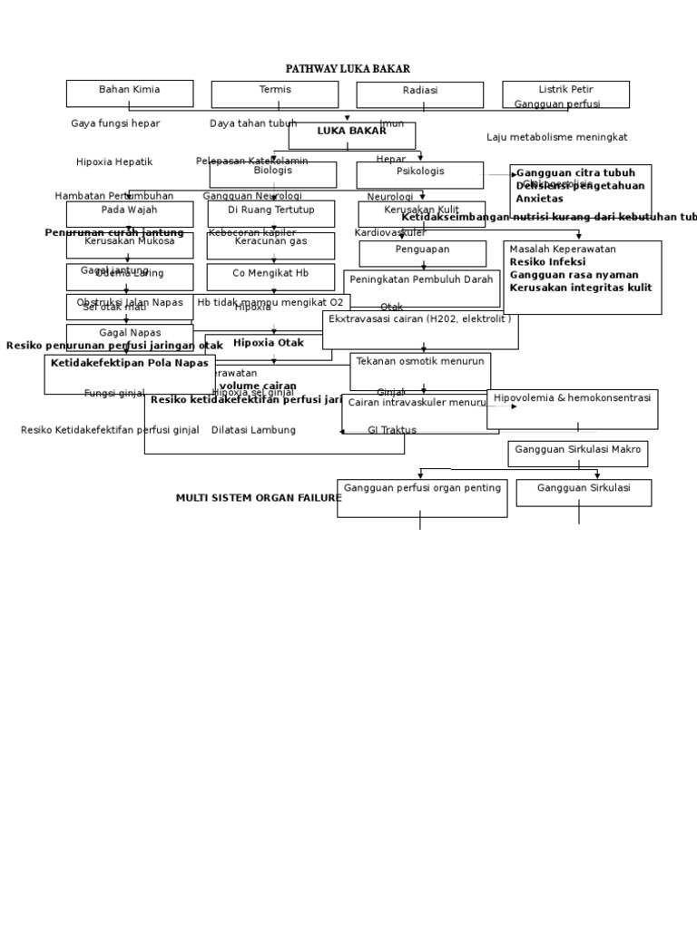 Pathway Luka Bakar | PDF