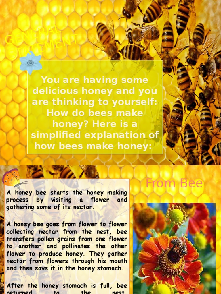 Step-by-Step Honey Making Process | PDF | Beekeeping | Honey