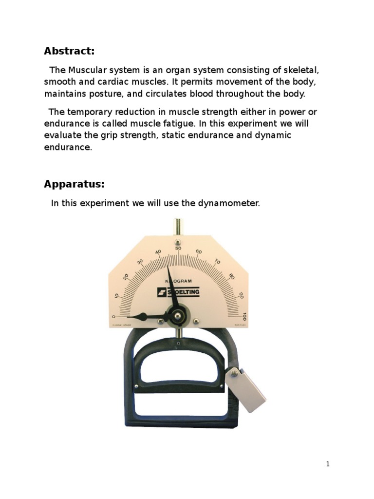 Muscle Fatigue Test | PDF | Muscle Contraction | Muscle