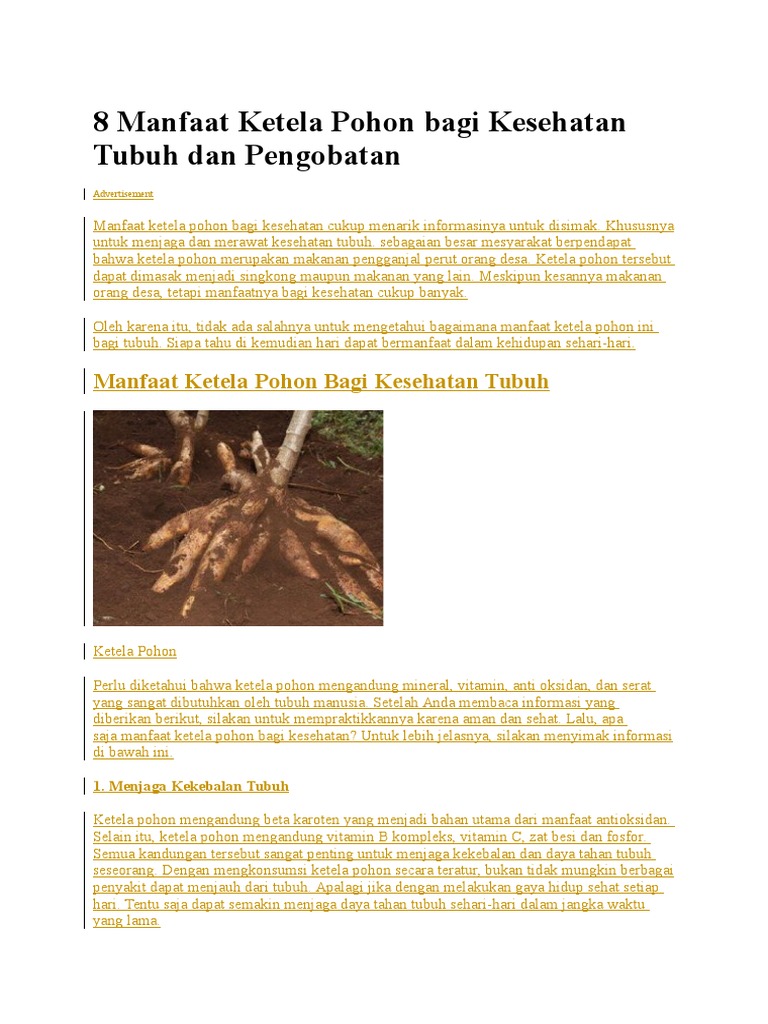 8 Manfaat Ketela Pohon | PDF