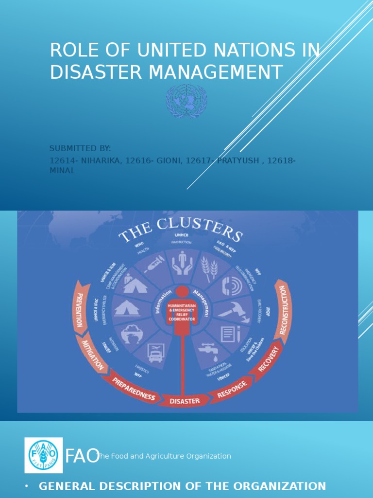 Role of United Nations in Disaster Management | PDF | International ...