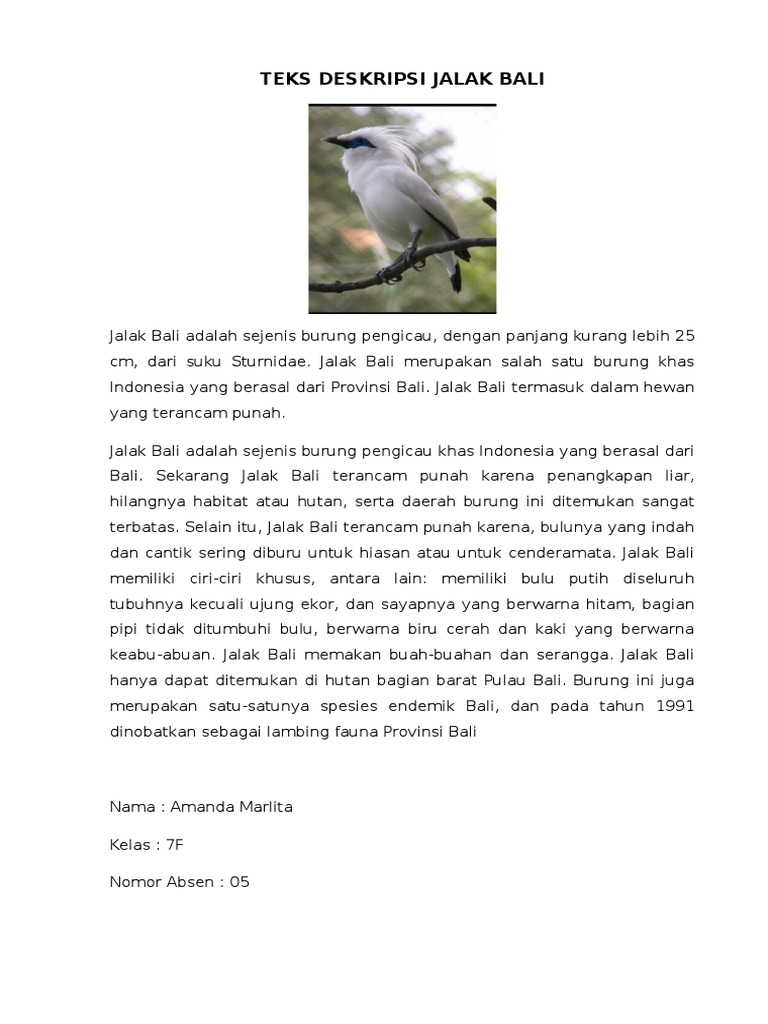 Teks Deskripsi Jalak Bali | PDF