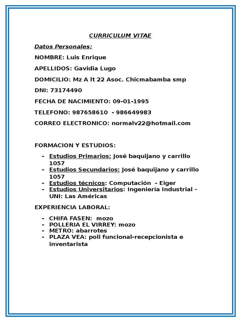Curriculum Vitae Luis | PDF