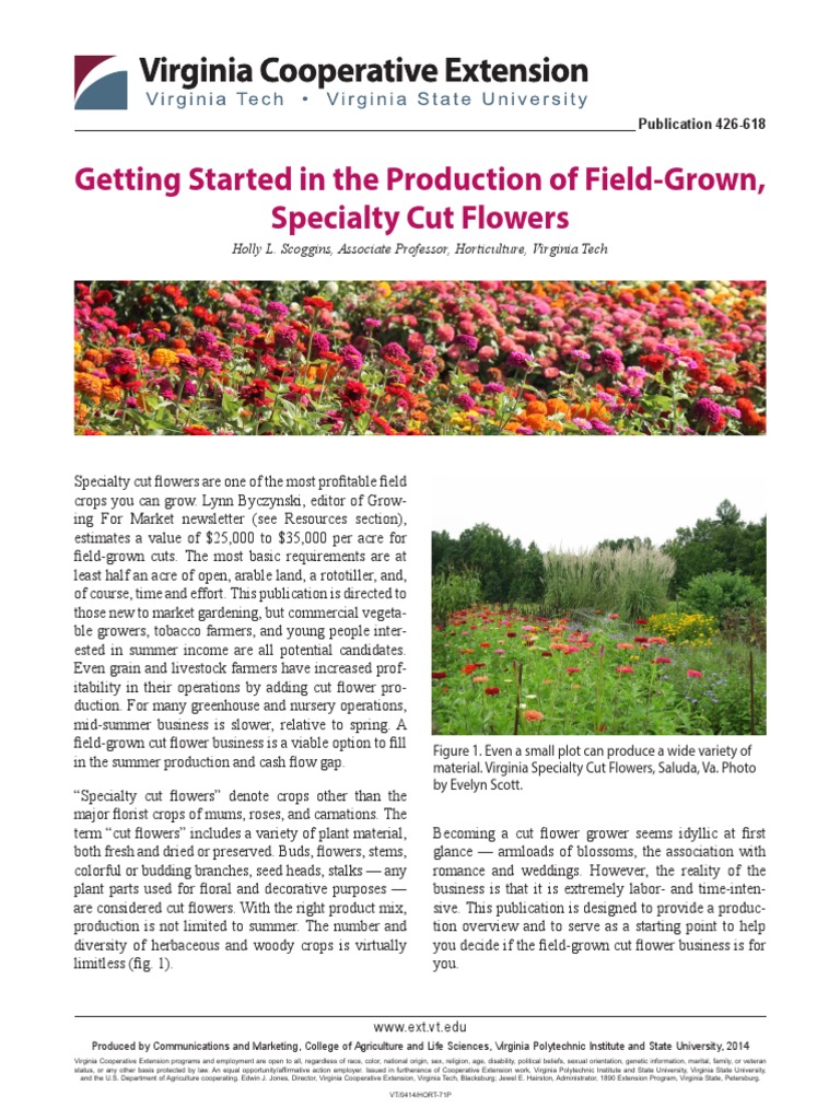 Flowers Beginners | PDF | Floristry | Mulch