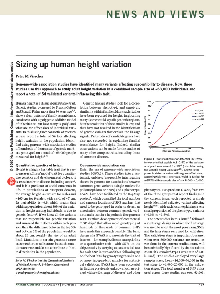 Sizing Human Height | PDF | Self-Improvement | Wellness