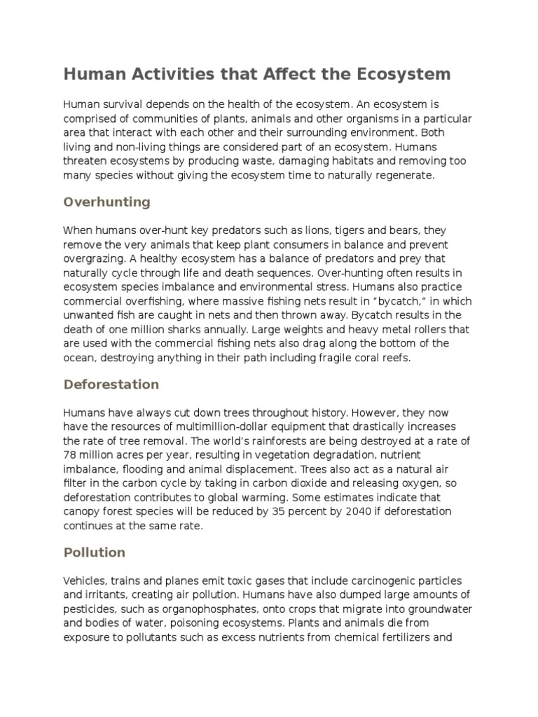 How Human Activities Impact Ecosystems | PDF | Human Impact On The ...