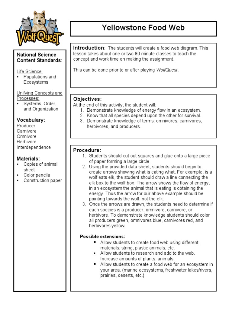 Yellowstone Food Web | Food Web | Foods