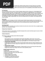 Panduan Menulis Esai Lomba | PDF