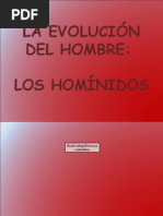 Dryopithecus | PDF | Hominidae | Homo Sapiens