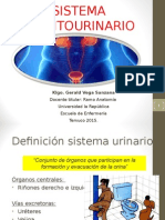 Sigmoidectomia Laparoscopica | PDF | Intestino grueso | Cirugía