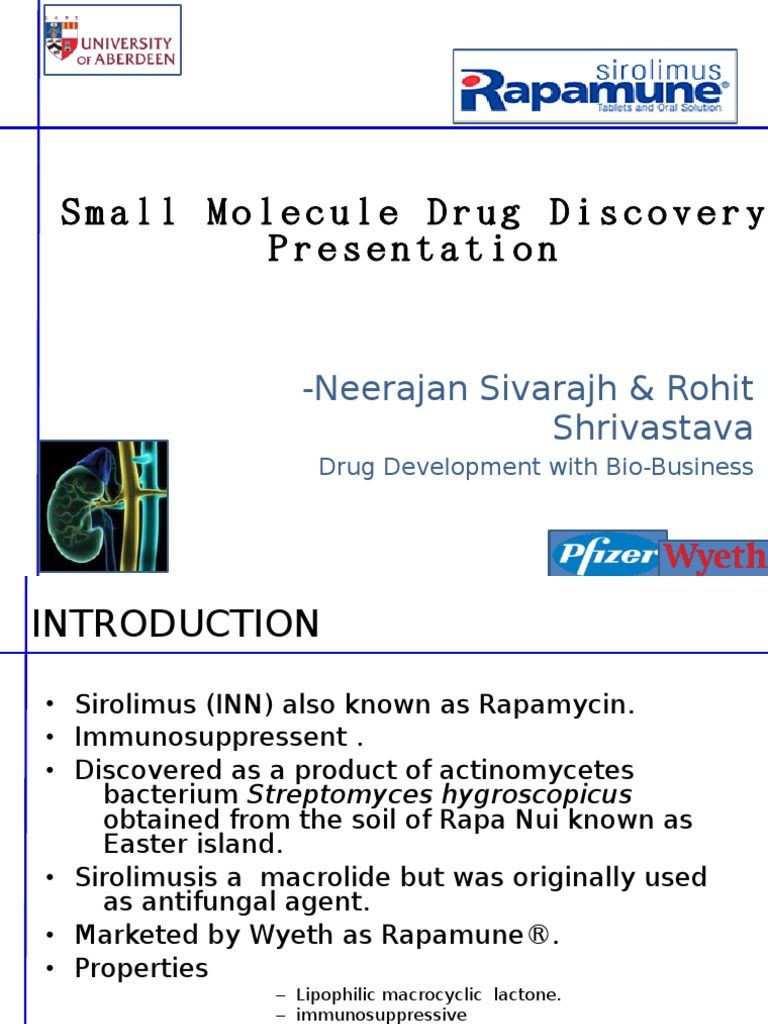 Small Molecule Drug Discovery Presentation | PDF | Molecular Biology ...