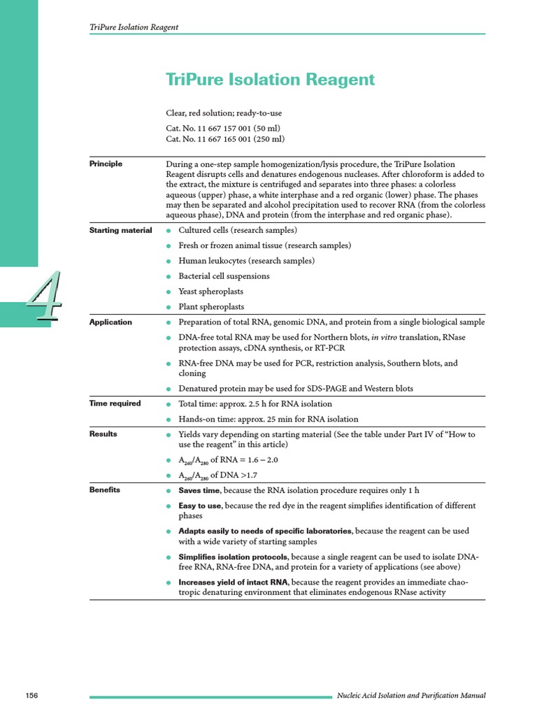 Tri Pure Isolation Reagent | PDF | Northern Blot | Biochemistry