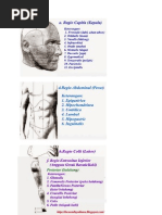 9 Regio Abdomen Dan Organ | PDF