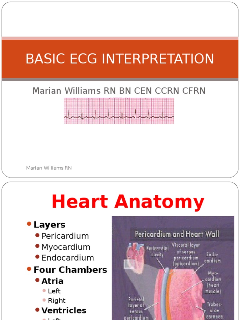 Basic ECG Interpretation MW | PDF | Heart | Electrocardiography