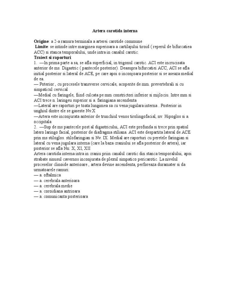 Artera Carotida Interna