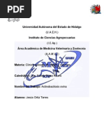 Abomasitis Micotica | PDF | Estómago | Úlcera péptica