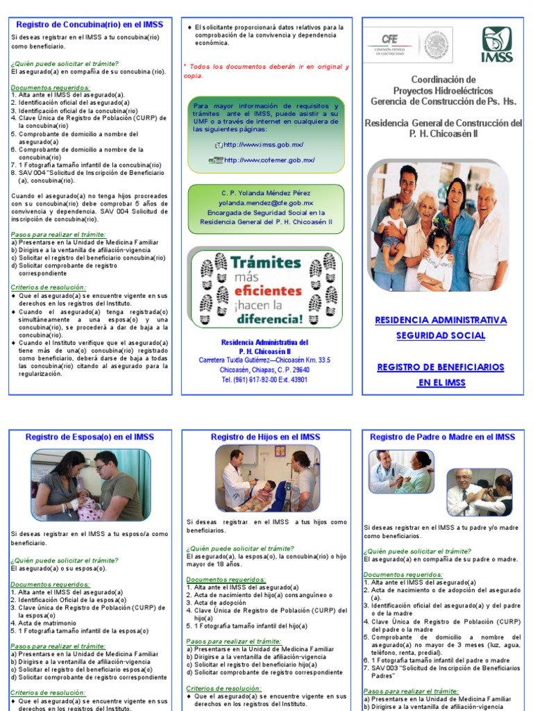 Tríptico Cfe-Imss | PDF | Gobierno