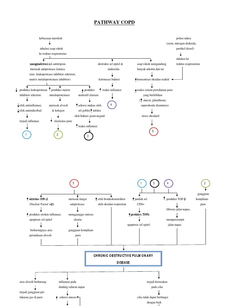 Pathway Copd Fix PDF | PDF