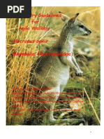 Games and Activities For Use in Steiner-Waldorf Schools | PDF | Leisure ...