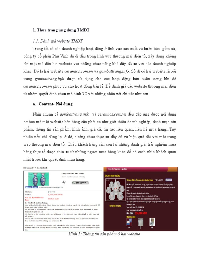 Phân Tích Theo Mô Hình 7C | PDF