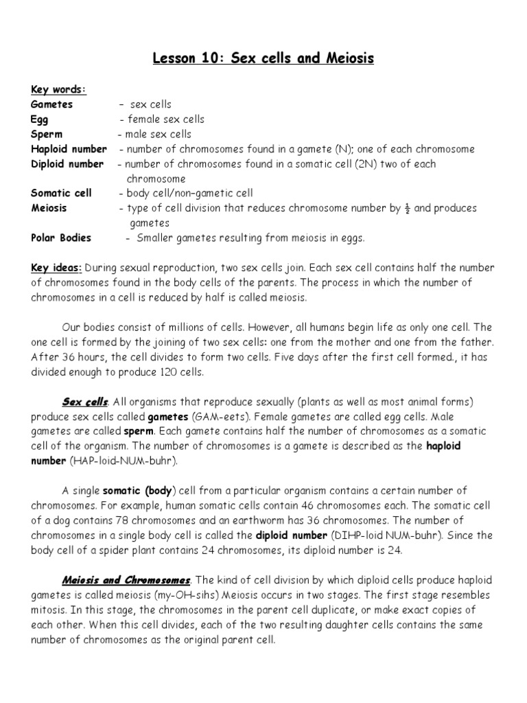 Understanding Meiosis and Sex Cells | PDF | Ploidy | Meiosis
