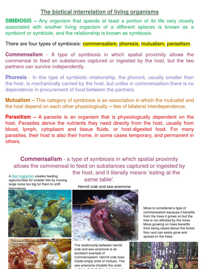 Parasite 1 | Symbiosis | Parasitism