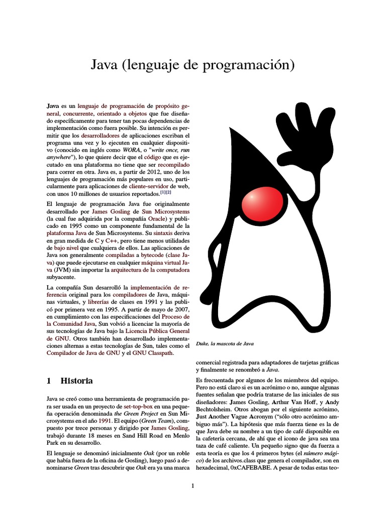 Java, lenguaje de programación orientado a objetos | PDF | máquina ...