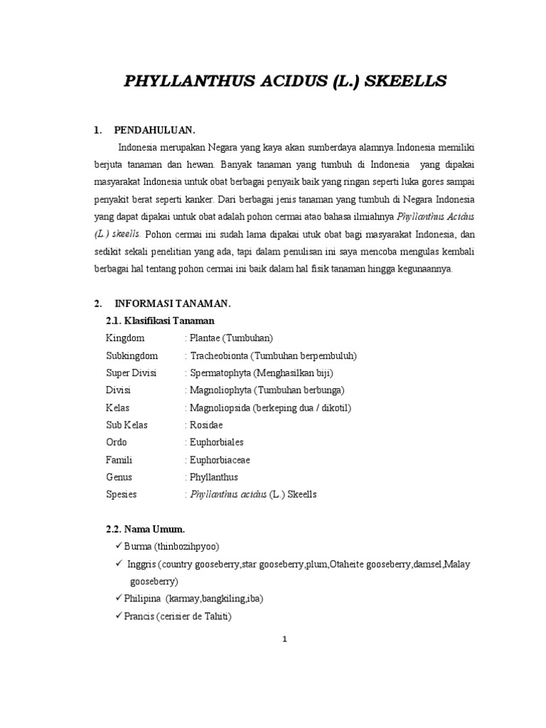 Phyllanthus Acidus | PDF