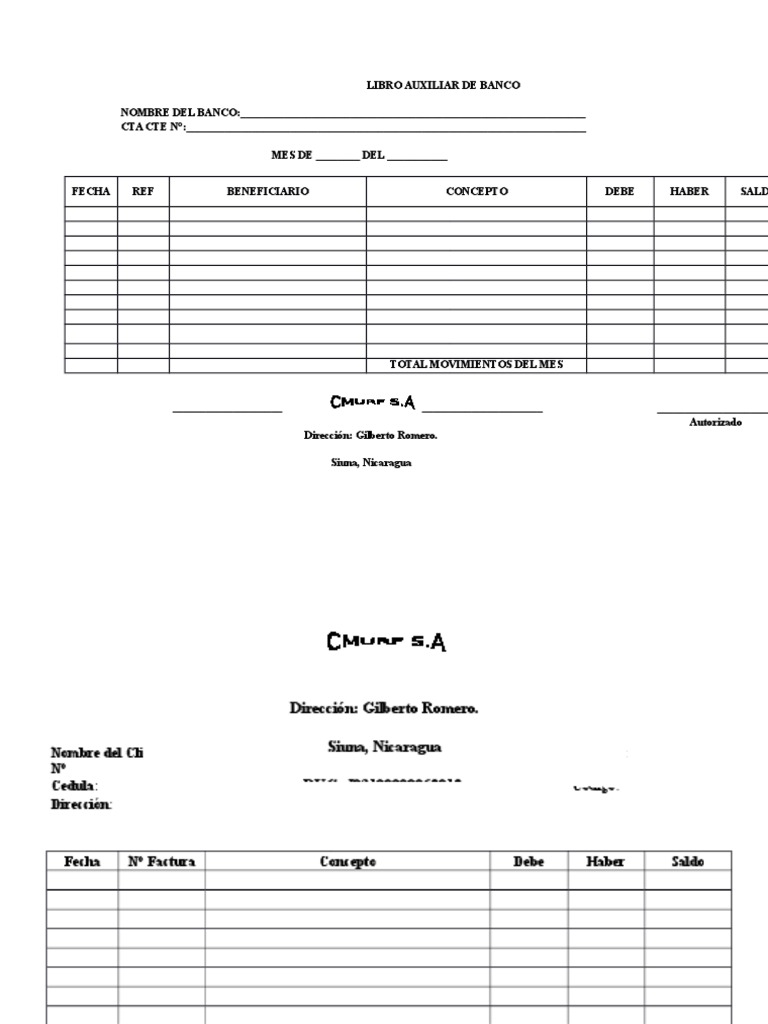 Formatos Contables Auxiliares | PDF