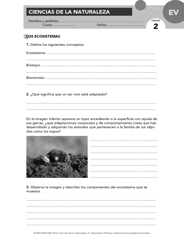 CCNN Eval 2 | PDF | Entorno natural | Organismos