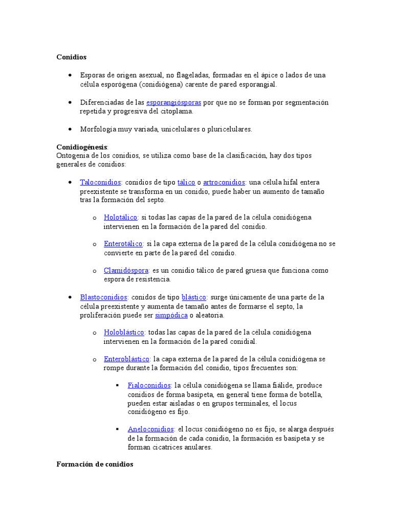 Tipos y formación de conidios en hongos | PDF | Espora | Hongo