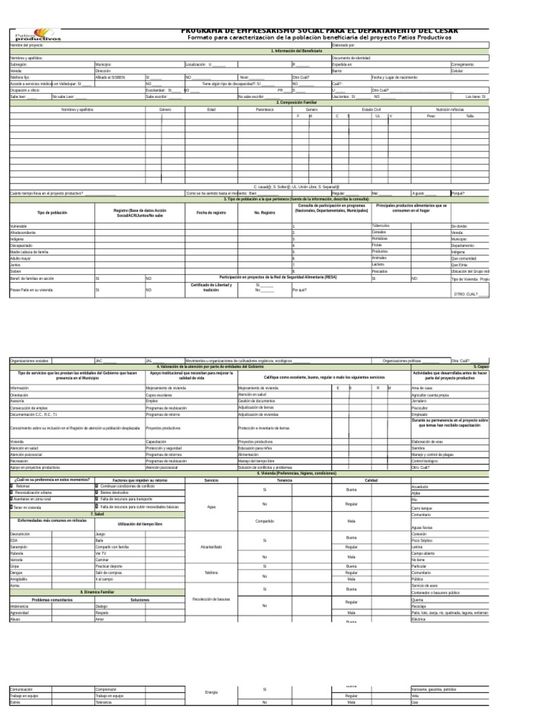 Formato Ficha Familiar | PDF | Calidad (comercial) | Bienestar