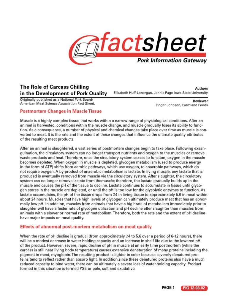 Pork Carcass Chilling | Download Free PDF | Convection | Heat Transfer