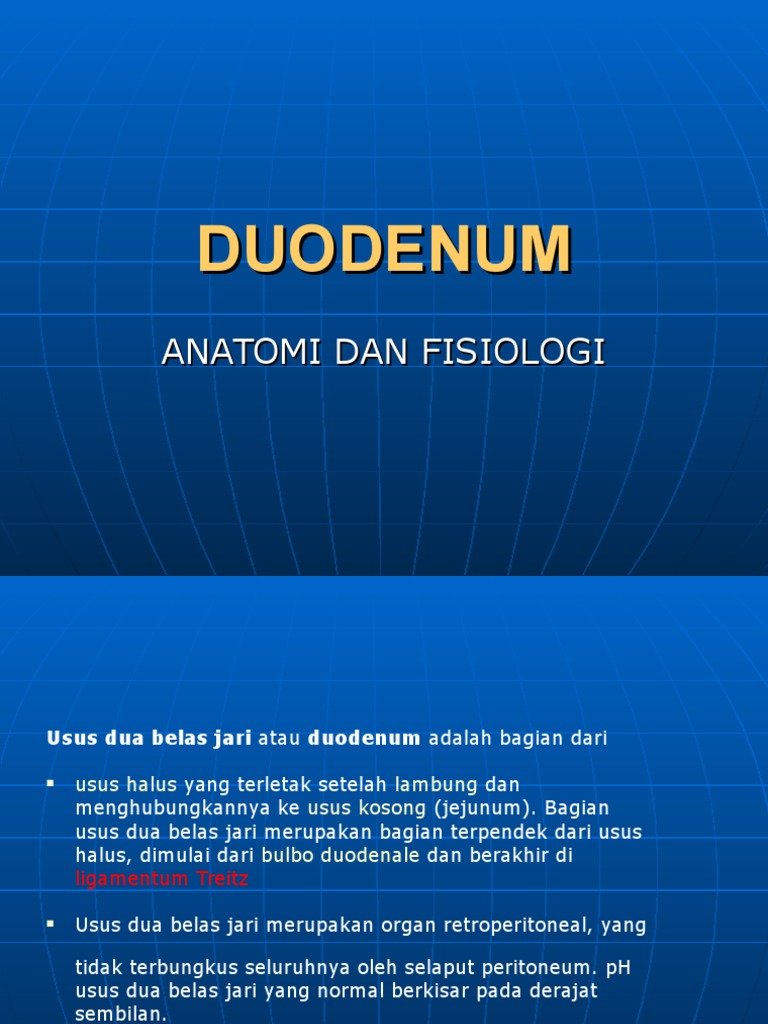 Anatomi Duodenum | PDF