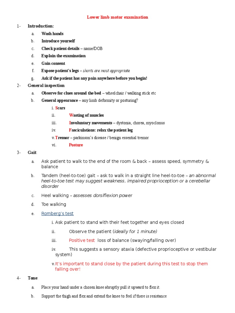 Lower Limb Motor Exam | PDF | Anatomical Terms Of Motion | Human Anatomy