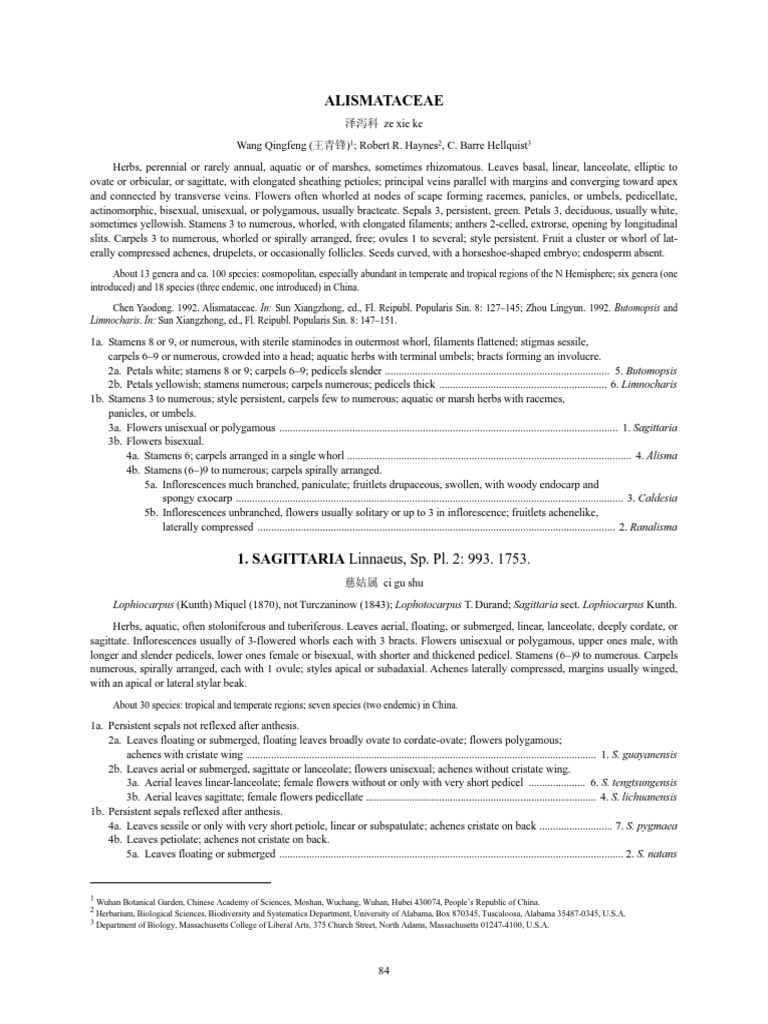 Alismataceae Family Overview | PDF | Flowers | Petal
