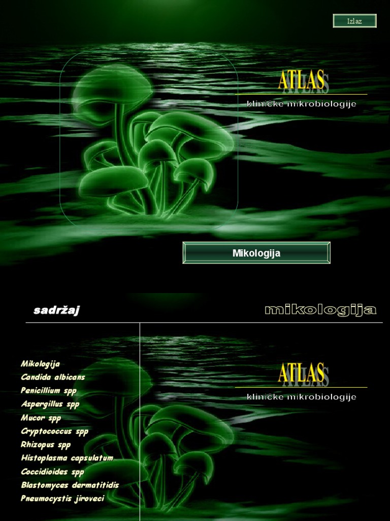 Mikologija | PDF