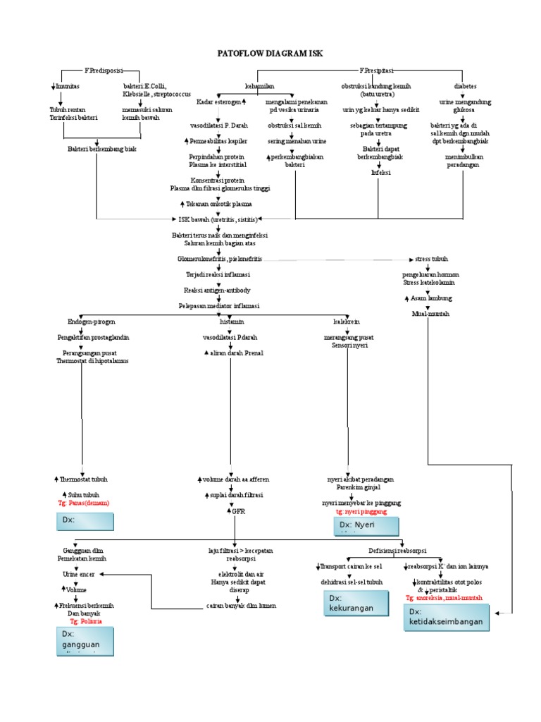 Patoflow Diagram Isk | PDF
