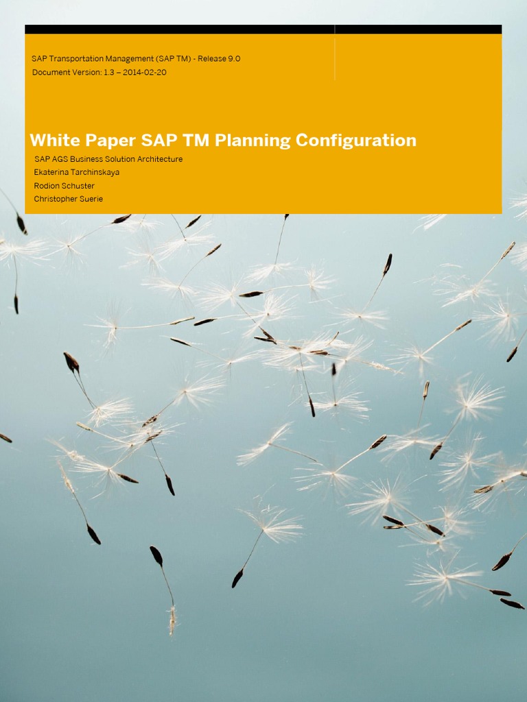 SAP TM Planning Configuration | PDF | Cargo | Time
