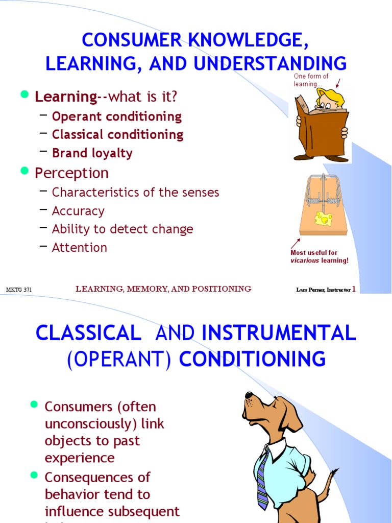 Consumer Learning and Conditioning Insights | PDF | Classical ...