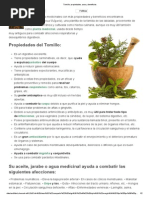 Limbo | PDF | Hoja | Botánica