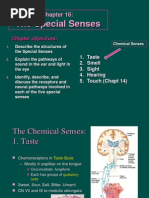 Brain Bee Study Questions | PDF | Stimulus (Physiology) | Neurotransmitter