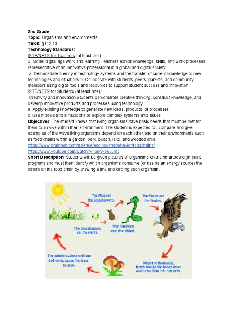 Minilessonplan | PDF