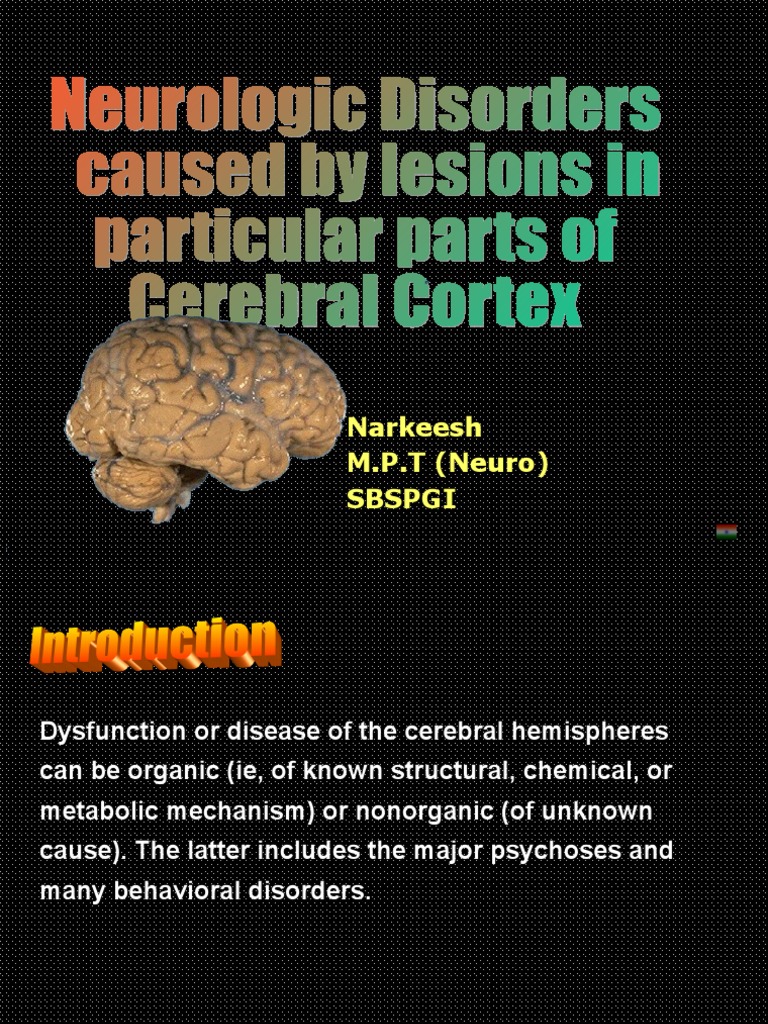 Disorders of Lobes | PDF | Parietal Lobe | Temporal Lobe