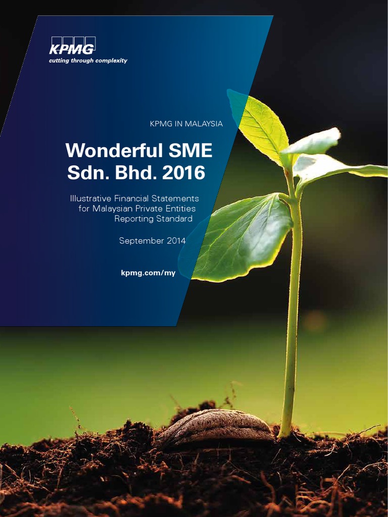 Wonderful SME Sdn. Bhd. - Illustrative Financial Statements 2016 | PDF ...